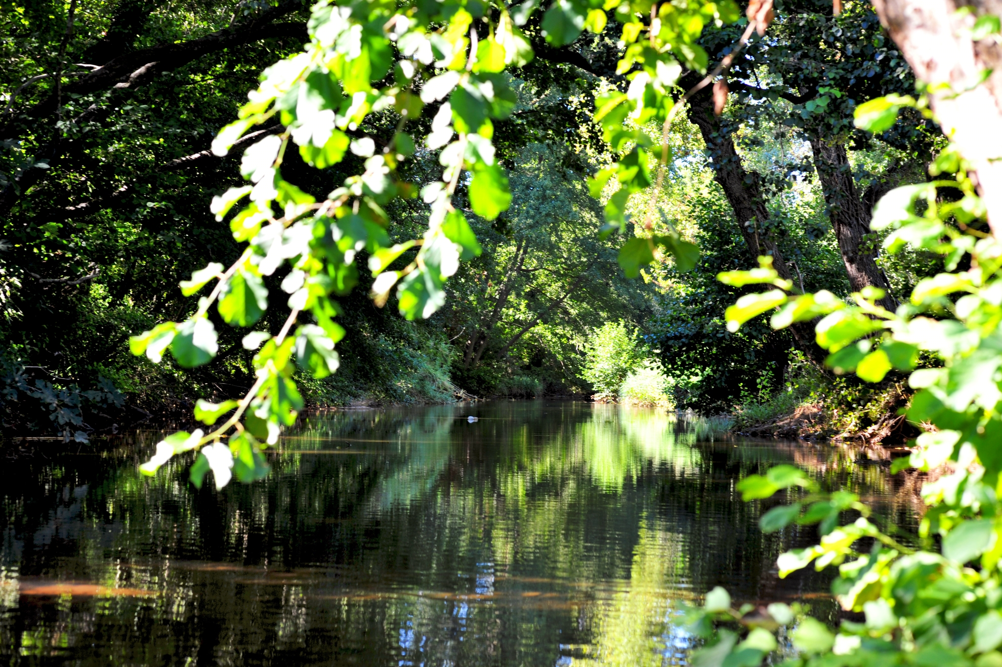 Un marathon nature hors norme dans le Var, Marathon Var Provence Verte